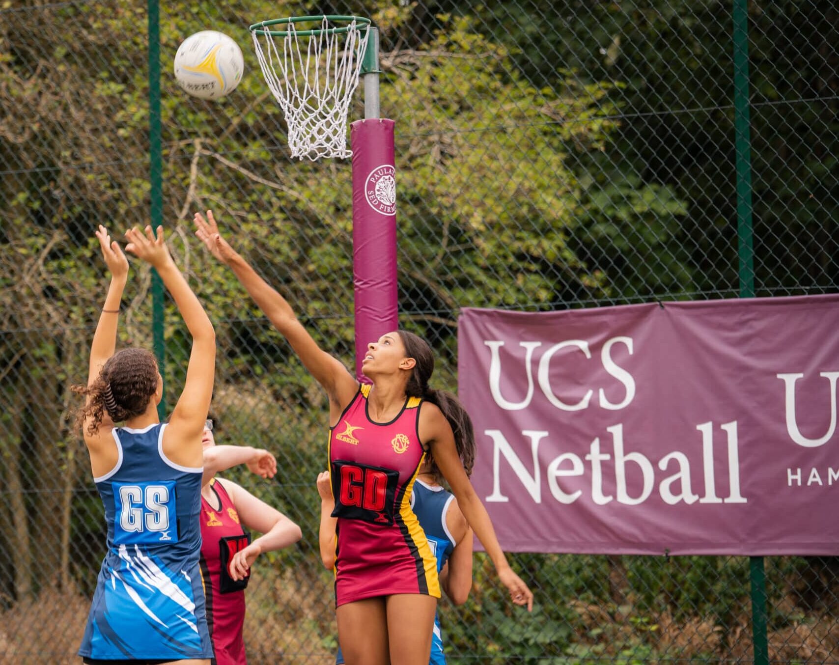 Women in Sports Week: Celebrating Female Sporting Excellence | UCS ...